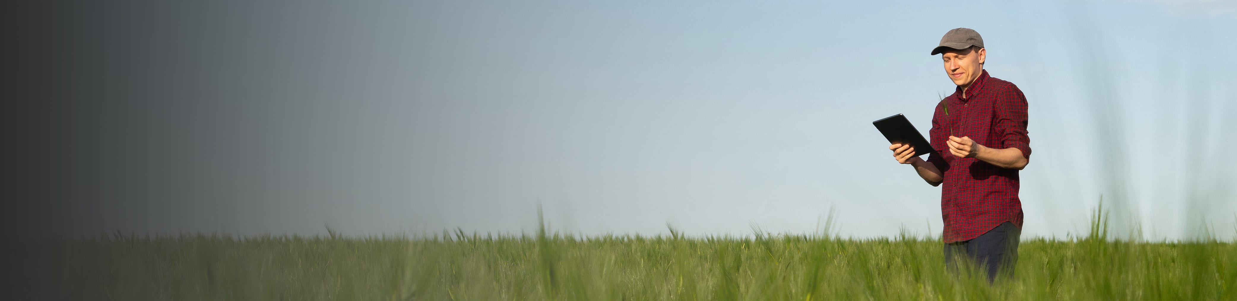 AgTech Report | RSM Australia